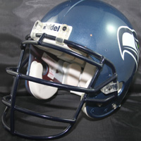 Real Stuff Sports Game Used Game Worn Football Helmets
